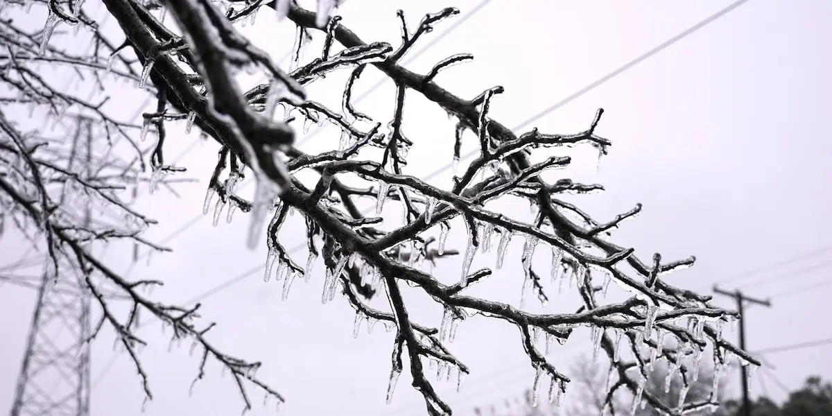 duke power outage map - Web Popular Culture Trends